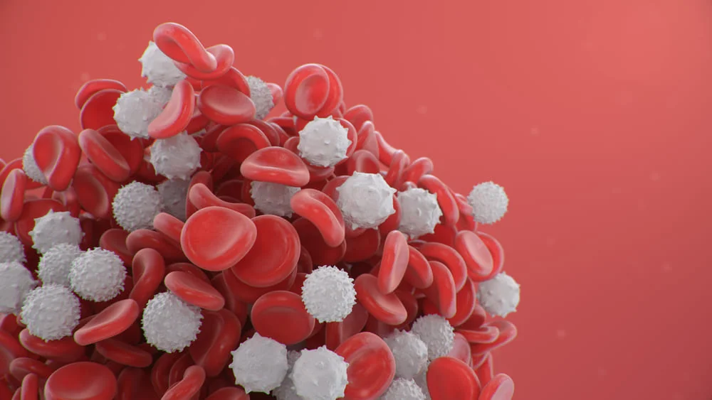 Leucocitele: ce sunt, rol in organism si valori normale | Dr.Max