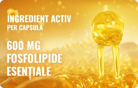 Essentiale MAX 600mg, 30 capsule, Sanofi | Dr. Max Farmacia