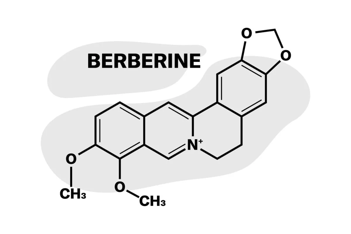 Berberina: beneficii, proprietati, contraindicatii | Dr.Max Farmacie