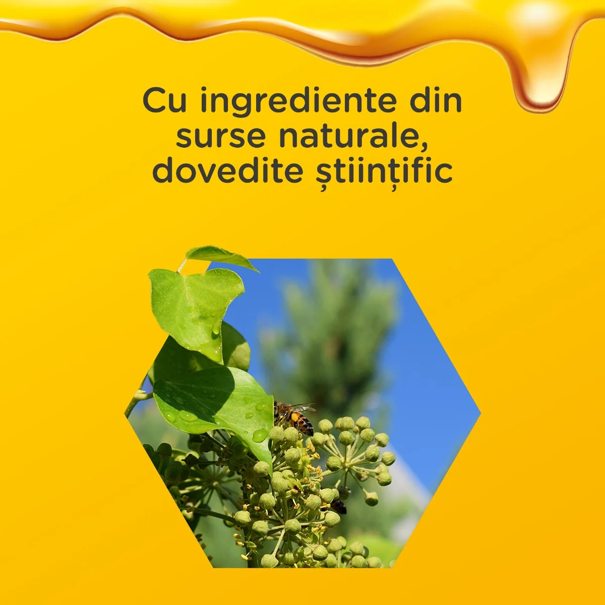 Sirop pentru tuse si dureri in gat, 150ml, Zarbee's | Dr. Max Farmacia