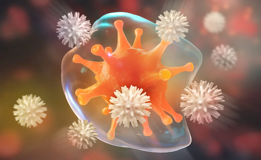 Leucocitele: ce sunt, rol in organism si valori normale | Preturi Dr.Max